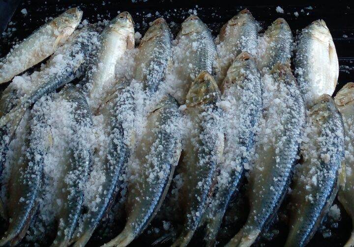 TERUBOK MASIN SARAWAK (HALAL) | Lazada