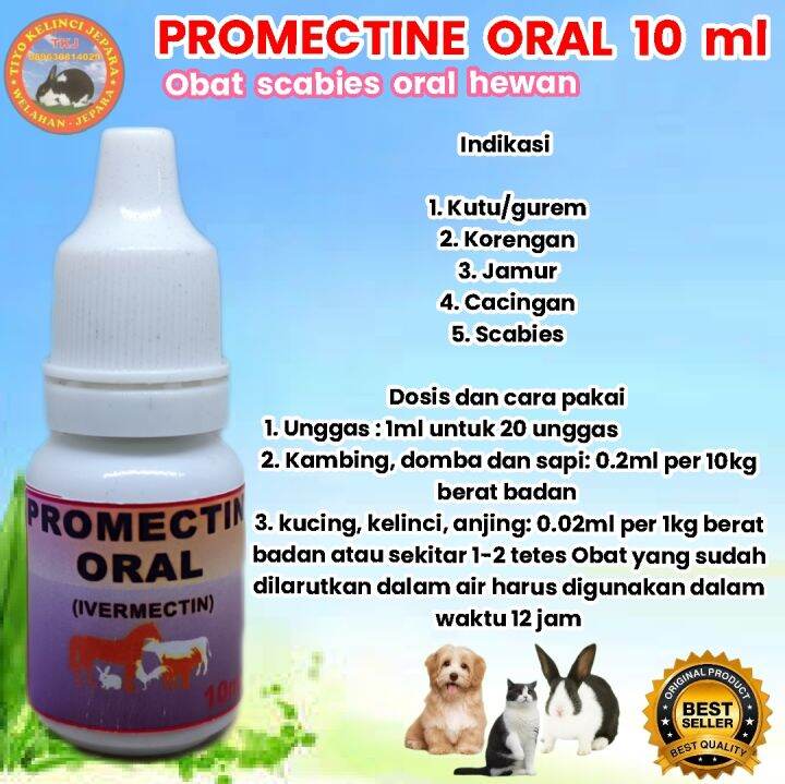 promectin oral 10 ml obat scabies gudik kutu jamur Ringworm Mirip ...