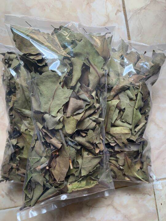 Benalu jeruk kering benalu teh benalu mangga benalu kopi | Lazada Indonesia Benalu jeruk kering benalu teh benalu mangga benalu kopi | Lazada Indonesia