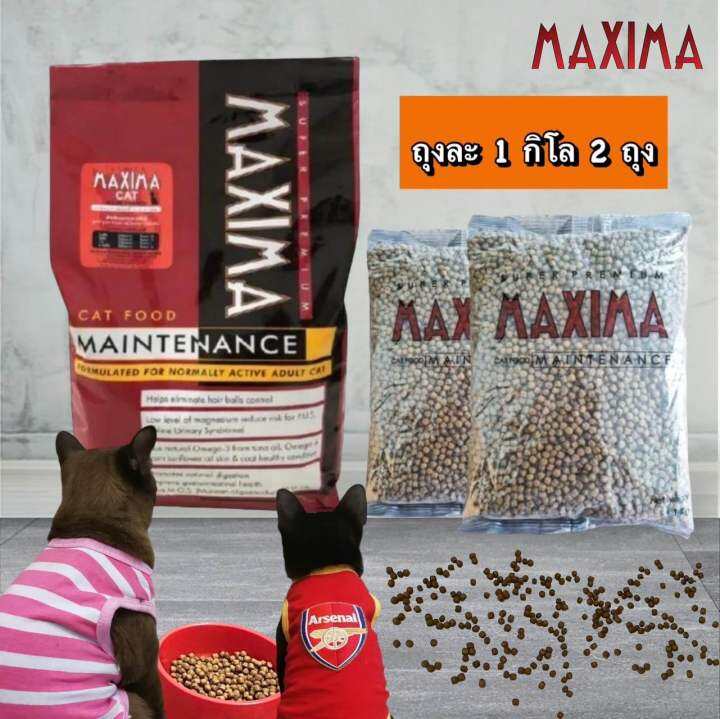 อาหารแมว Maxima Cat Food แม๊กซิม่า ขนาด2kG สำหรับแมวทุกวัย รสแกะผสม ...