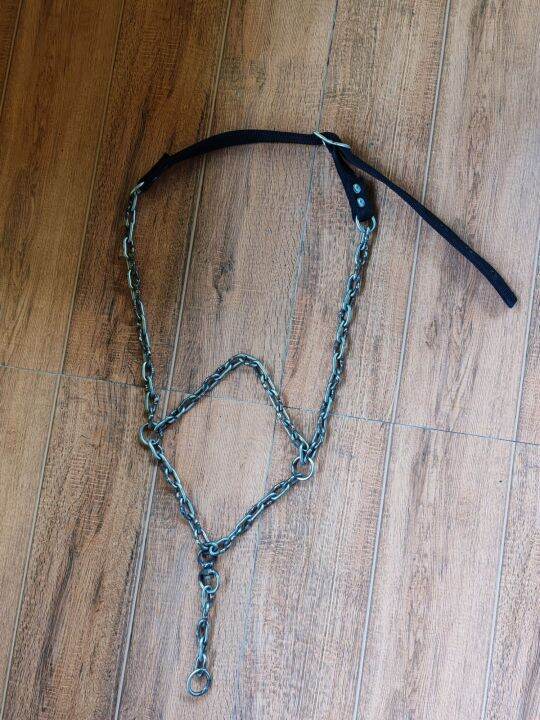 High Quality Cow Head Busal ng Baka Stainless | Lazada PH