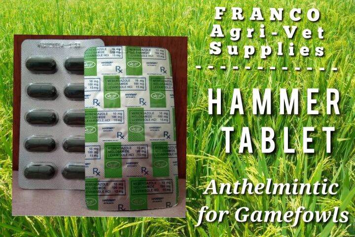 Hammer Tablet Anthelmintic Tablet for Gamefowls / Pampurga | Lazada PH