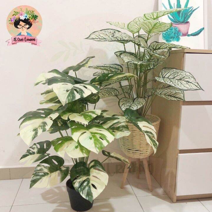 Premium Pokok Hiasan Viral/Artificial/24pcs Leaf/Pokok Monstera Albo ...