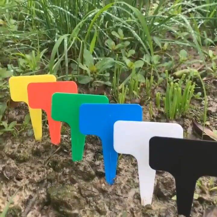 Isi 100PCS Penanda Label Name Tag Tanaman Hias Plant Marker Semai Benih Bibit Bahan Plastik ...