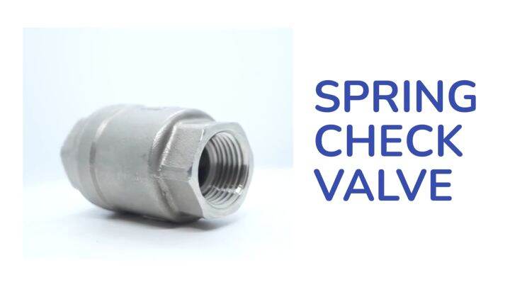 Stainless Steel SS316 Spring Check Valve 1/4” to 2” Heavy Duty One Way ...