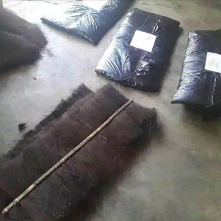 kakaban injuk tempat telur ikan tempat budidaya ikan | Lazada Indonesia