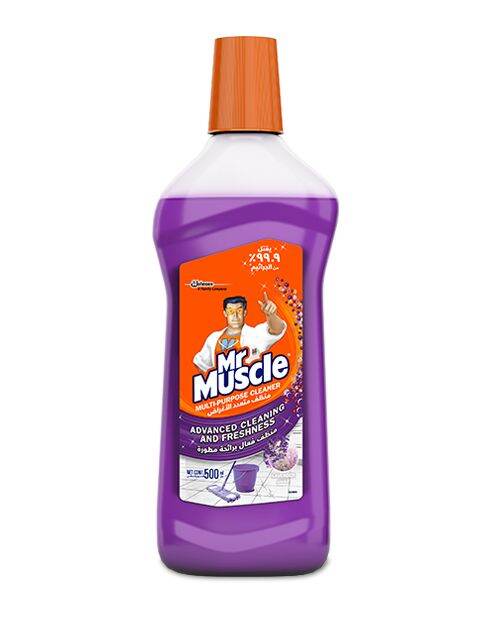 Mr.Muscle multi purpose cleaner 500ml | Lazada PH
