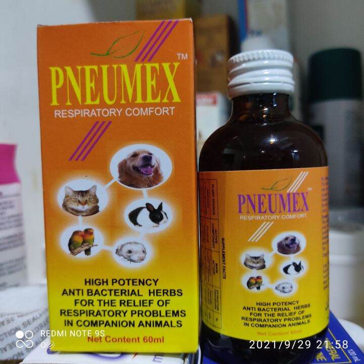PNEUMEX (120ml) respiratory comfort | Lazada PH