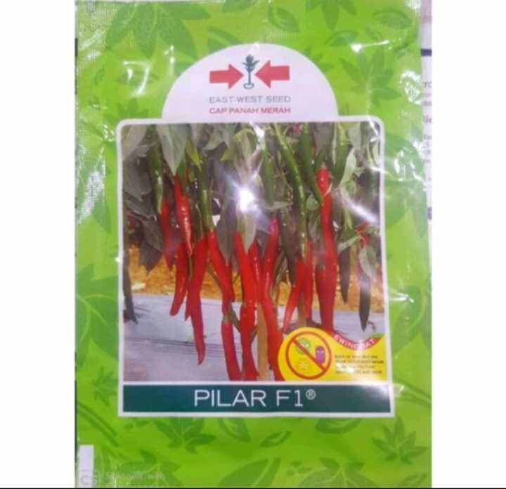 Benih Cabe Besar PILAR F1 1500 butir | Cap Panah Merah | Lazada Indonesia