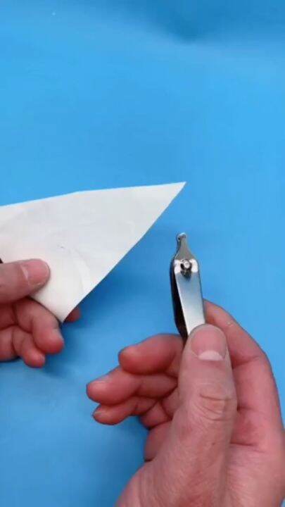 Chick toe puncher set Stainless Steel Marking tools for chicken ...