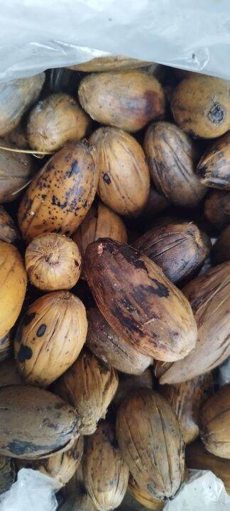 BETEL NUT/ BUYO/ BUA | Lazada PH
