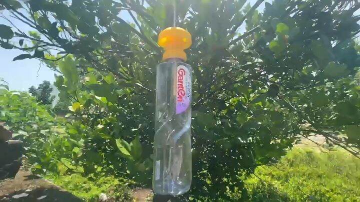 Drosophila Trap Serangga Penangkap Lalat Kontrol Plastik Antinyamuk ...