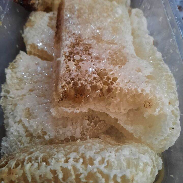 RAW Honeycomb super healthy | Lazada PH