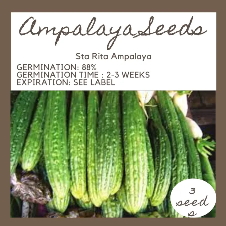 Ampalaya Seeds 3 seeds per pack HIGH GERMINATION | Lazada PH