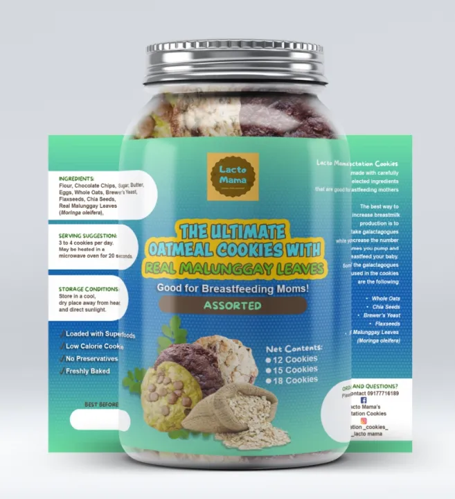 Lactation Oatmeal Cookies by Lacto Mama Assorted Variant (Jar of 15's ...