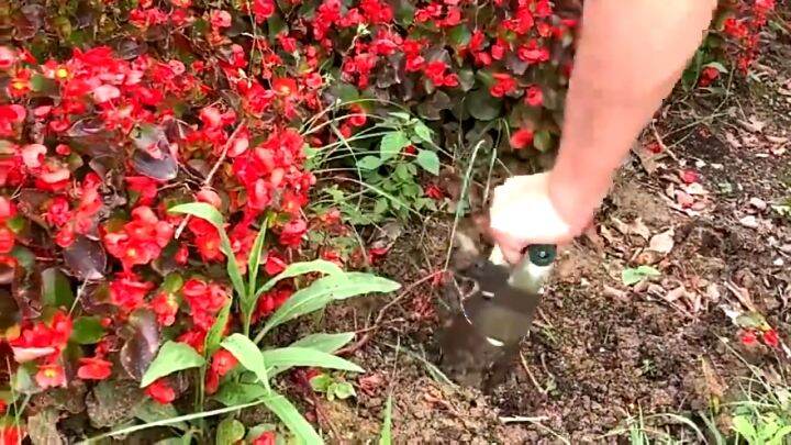 Seedling Tube Transplanter Agriculture Garden Seed Lifter Tool Easy To ...