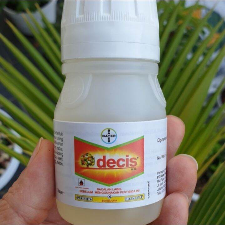 Decis 50 ml | Lazada Indonesia