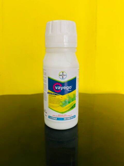 Insektisida VAYEGO 200 SC dari Bayer isi 100ml jos tenann!1 | Lazada ...