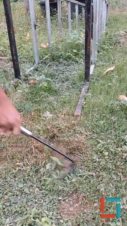 CANGKUL KECIL/PACUL GARUK SERBAGUNA/PACUL GALI TANAH UNTUK RUMPUT DAN ...