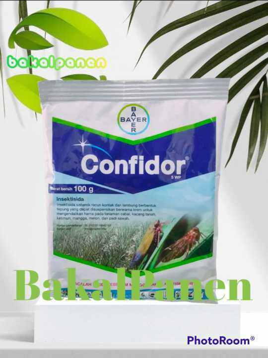 Insektisida obat hama imidakloprid CONFIDOR 5WP | Lazada Indonesia