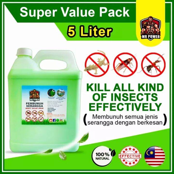 SPRAY SERANGGA MR POWER 5LITER BERKESAN UNTUK LIPAS,CICAK,LIPAN,ANAI ...