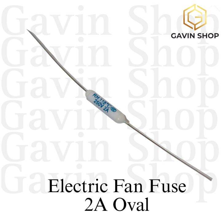 Electric Fan Fuse 2A Oval | Lazada PH