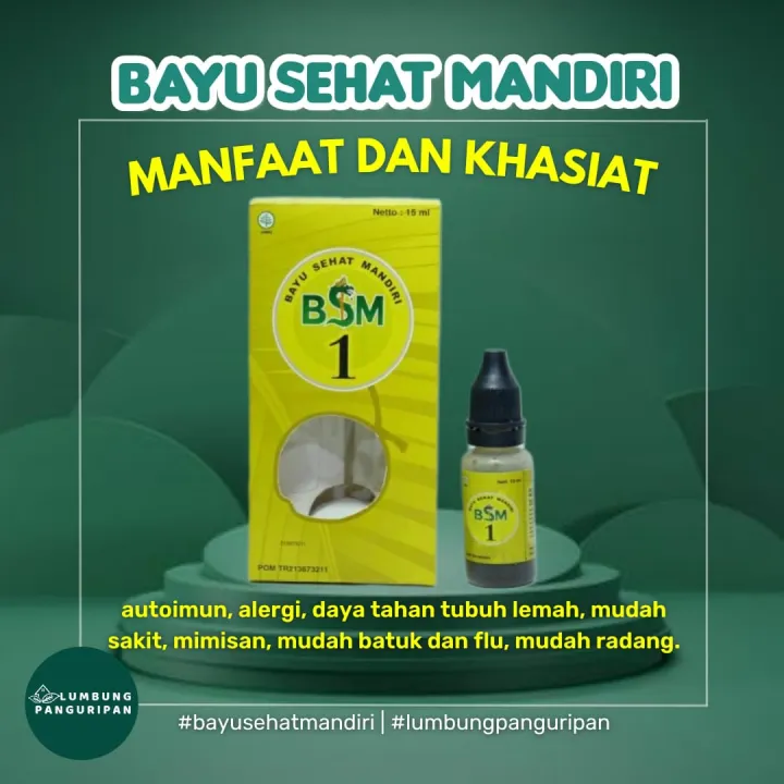 Bayu sehat mandiri BSM 1 | Lazada Indonesia