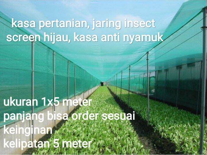 jaring kasa pertanian 1x5 meter jaring insect screen hijau, kasa anti ...