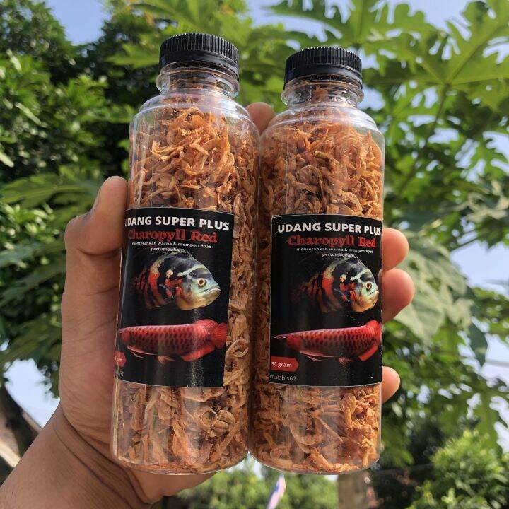 Udang Super Plus Red Pakan Ikan Predator | Lazada Indonesia