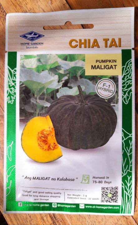 Maligat F1 2g per Sachet Kalabasa Seeds by Chia Tai Seeds | Lazada PH