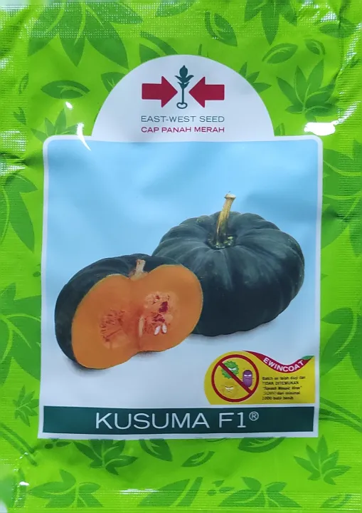 Benih labu kuning KUSUMA F1 isi 95btr cap Panah Merah | Lazada Indonesia