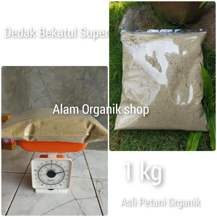 Dedak Bekatul Super / Pakan Ternak / Pakan Ikan / Berat 1 kg | Lazada ...