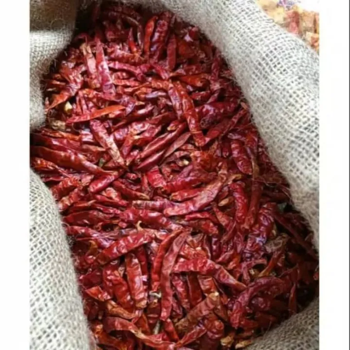 cabe merah rawit kering Cabe rawit Teja Ori 1kg cocok untuk seblak ...