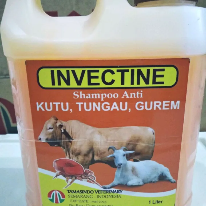 Invectine 1000 Ml 1L - Shampoo Anti Kutu, Tungau, Gurem pada Sapi dan ...