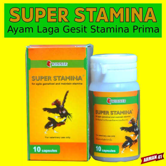 SUPER STAMINA(TIBAY SA LABAN,STAMINA,FOCUS,POWER) | Lazada PH