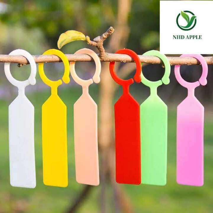 100 Pieces Nursery Plant Label Tag | Lazada PH