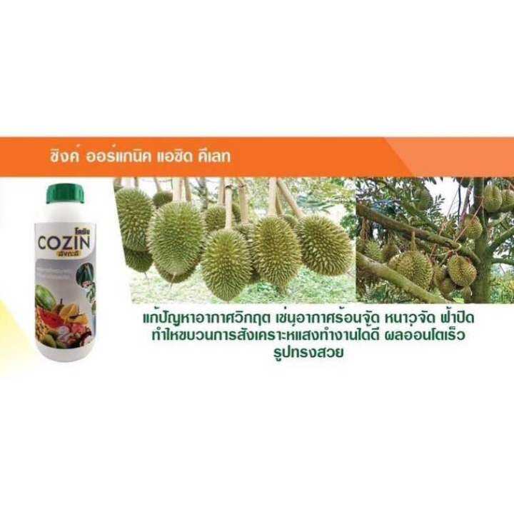 โคซิน cozin การสังเคราะห์แสงคุณภาพผลผลิต | Lazada.co.th