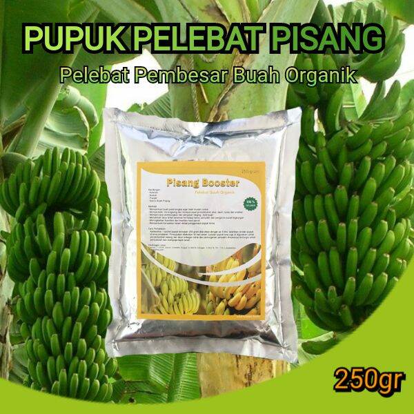 Pupuk Pisang Organik Pembesar Batang Pelebat Buah Booster Penyubur Tanaman Meningkatkan Hasil ...