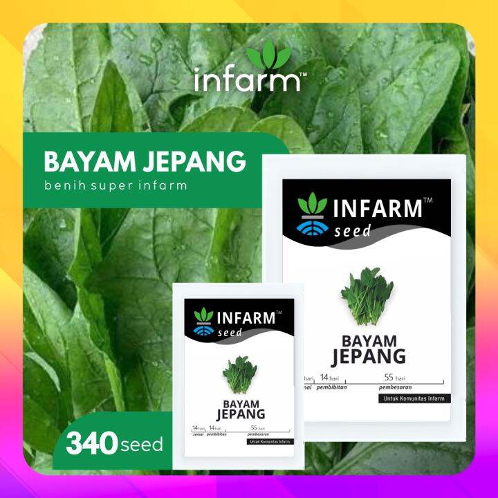 INFARM Benih Super Bayam Jepang | Bibit Super Bayam Jepang | Biji Super ... INFARM Benih Super Bayam Jepang | Bibit Super Bayam Jepang | Biji Super ...