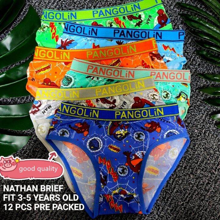 12 PIECES KIDS BRIEF OUTSIDE | Lazada PH
