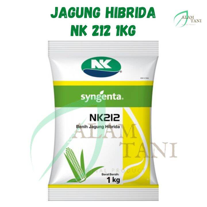 Benih Jagung Hibrida NK212 NK 212 Wiro Sableng 1Kg Original Syngenta ...