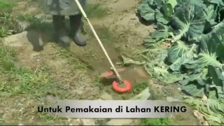 Paddy Blade Pisau Matun Padi Penyiang Gulma Alat Bertani Berkebun ...