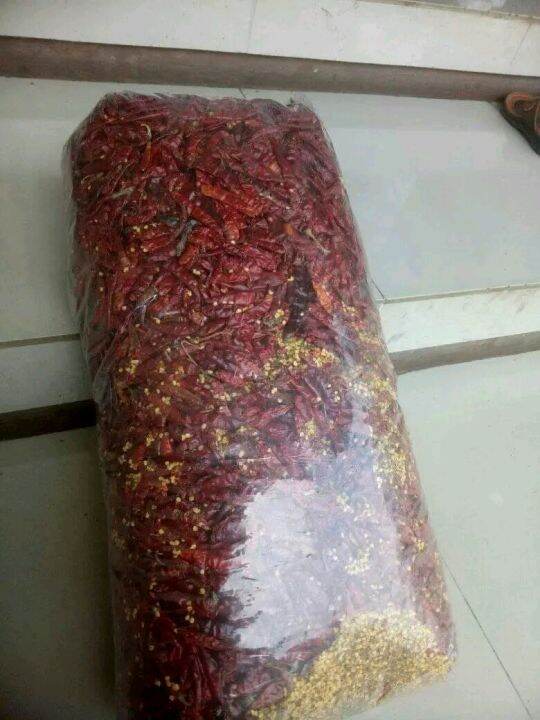 cabe kering,untuk sambal bakso atau chili oil,kemasan 50 gr | Lazada ...