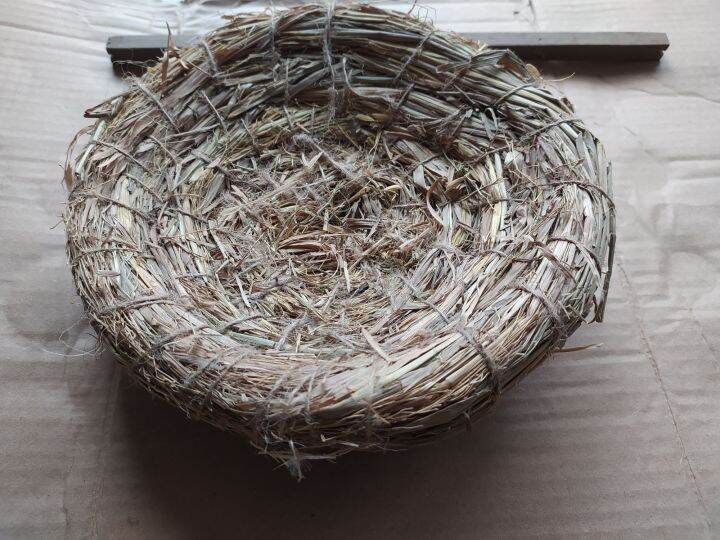 Sarang Anyaman Jerami Burung Dara Merpati Sukses Beternak | Lazada ...