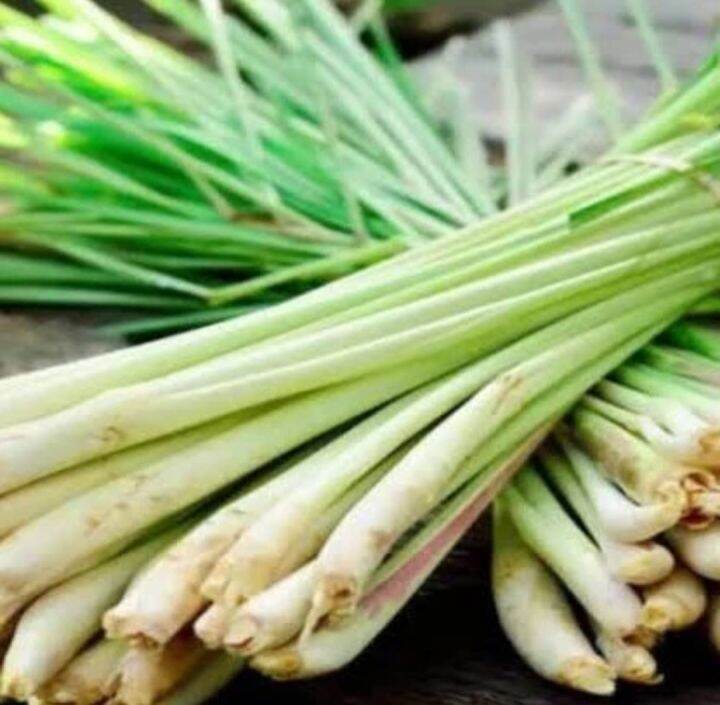 Daun serai sereh sere wangi 500 gram, segar fresh herbal bumbu masak a ...