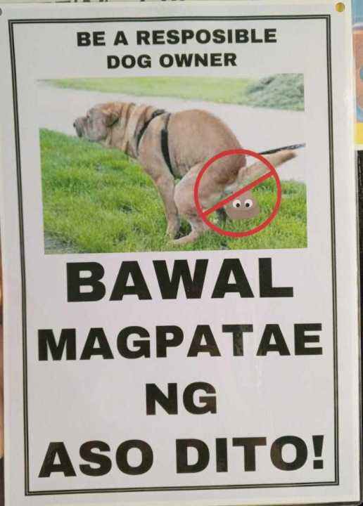 Bawal magpatae ng aso Dito laminated signages A4 size makapal 250mic ...