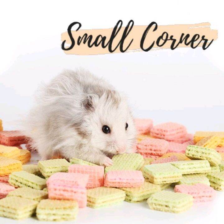 Hamster snack waffle cube 3pcs华夫脆 威化饼 仓鼠零食 | Lazada