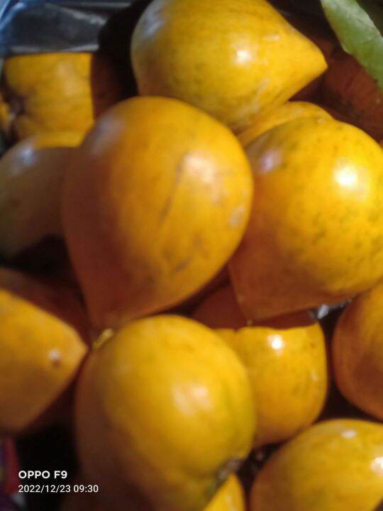 Alkesah atau buah sawo mentega 1kg enak pulen manis | Lazada Indonesia