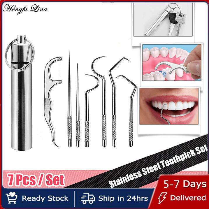 Hengfa Lina Stainless Steel Toothpick Set Tooth Flossing Reusable ...