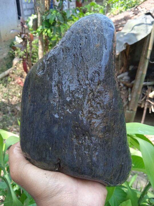 FOSIL KAYU HITAM PEKAT 2 KG | Lazada Indonesia